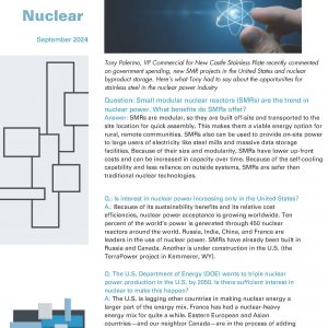 Nuclear – New Castle Stainless Plate